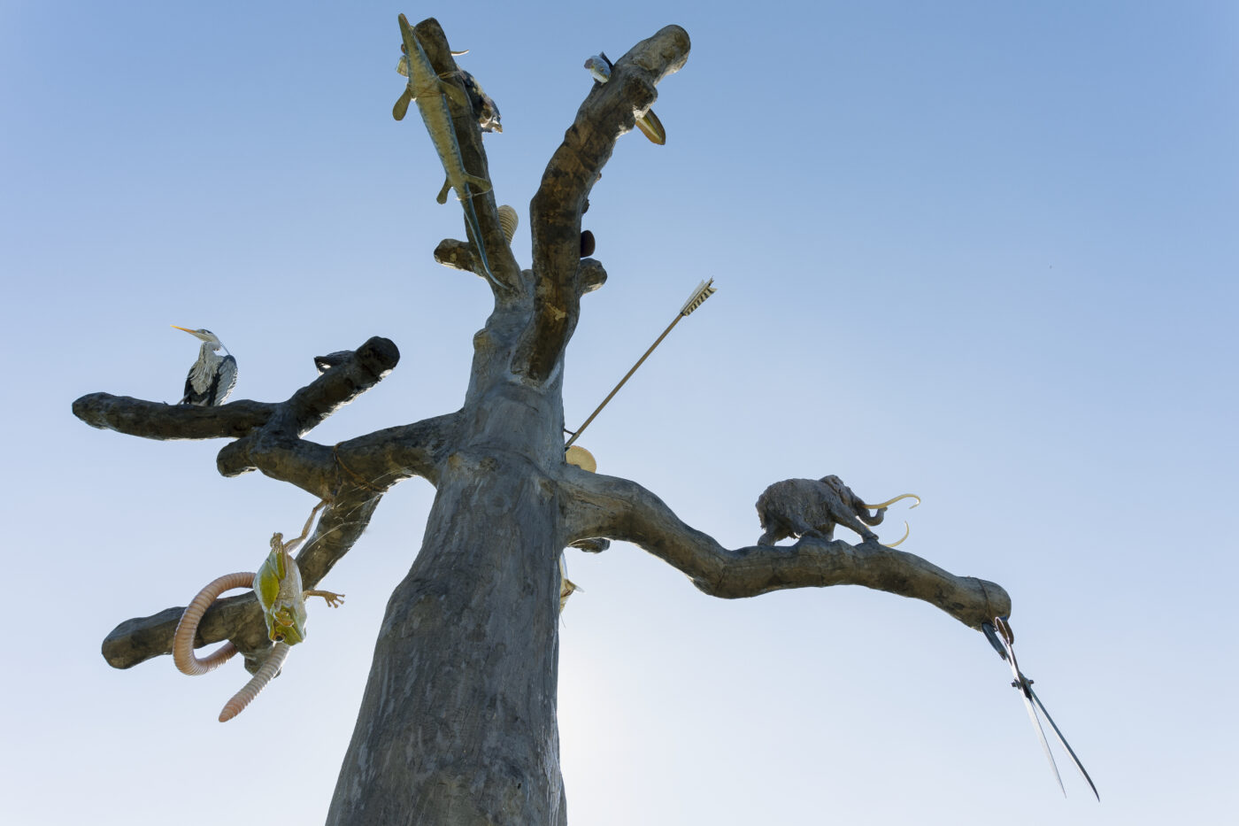 MARK DION | Kunst aan de Maas