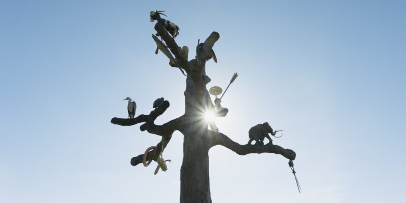 Tree of Life van Mark Dion officieel ingehuldigd | Kunst aan de Maas